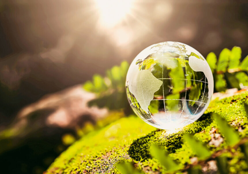 Good news for our planet! - Microcemento CimentArt